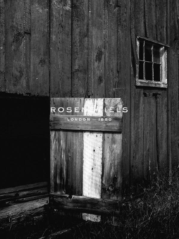 Laura Warren 30 x 40 in. Open Giclee Canvas:"Finding A Way" - Laura Warren