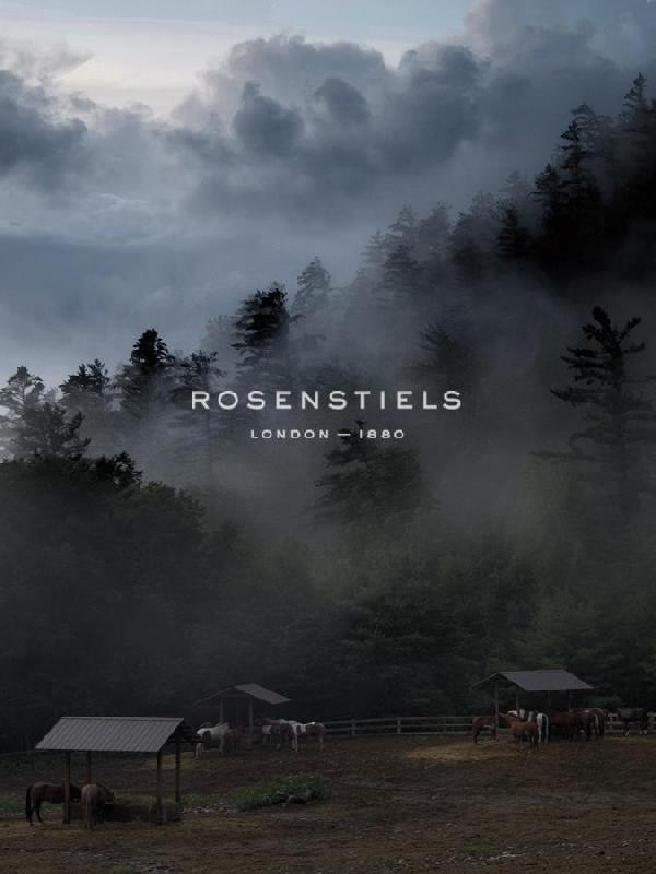 Laura Warren 30 x 40 in. Open Giclee Canvas:"Misty Mountain" - Laura Warren