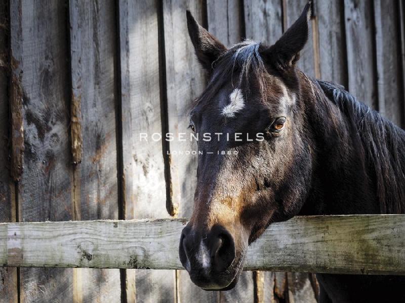 Laura Warren 40 x 30 in. Open Giclee Canvas:"Glance" - Laura Warren