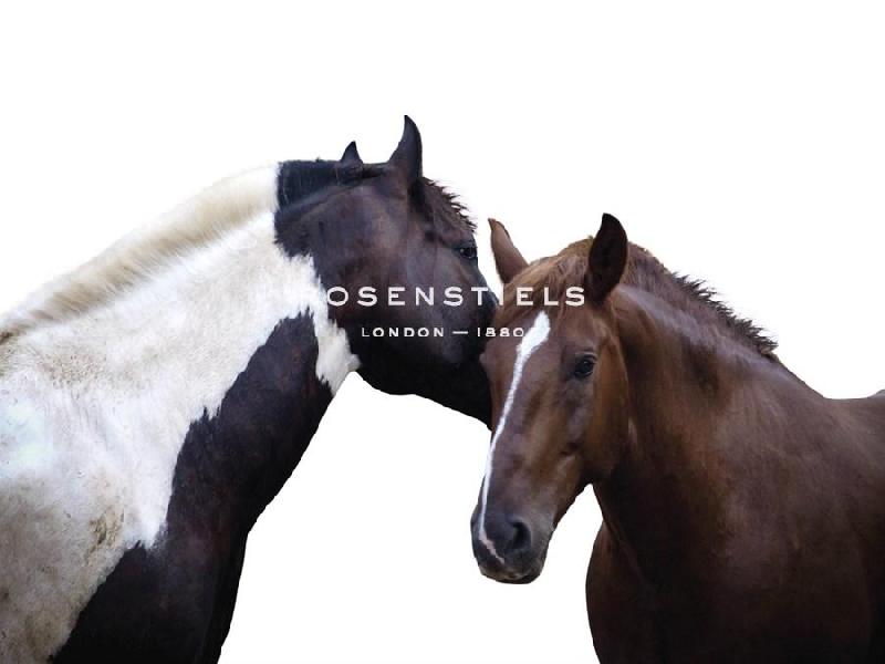 Laura Warren 40 x 30 in. Open Giclee Canvas:"Hold Dear" - Laura Warren