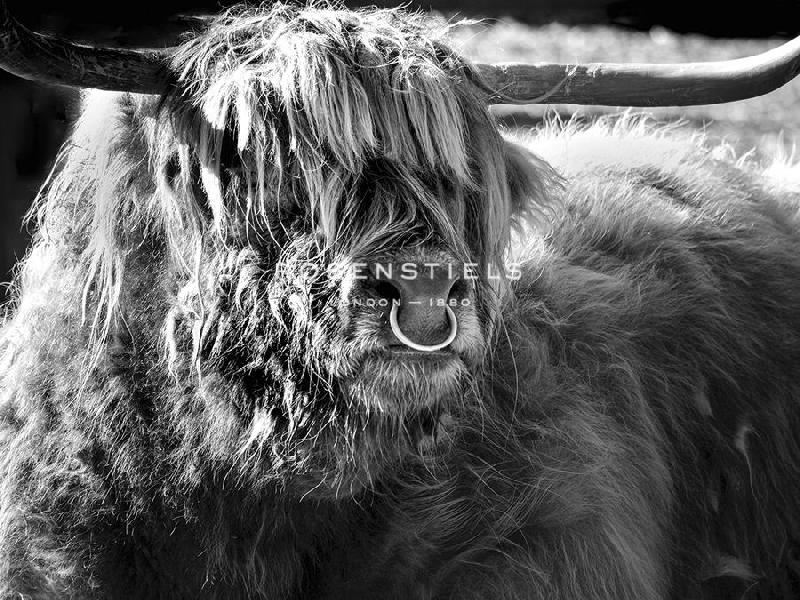 Laura Warren 40 x 30 in. Open Giclee Canvas:"Rustic Portrait - Power ...