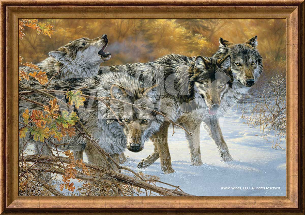 Lee Kromschroeder Framed Gallery Canvas: "Body Language-Timberwolf ...