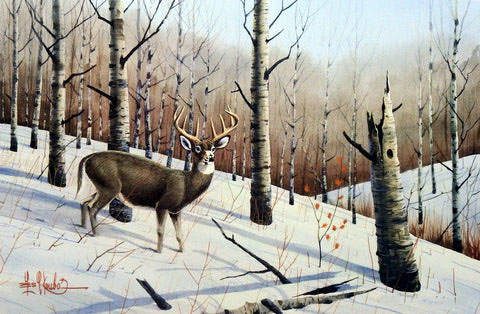 Les Kouba Artist Proof:"Whitetail Country" - Les Kouba