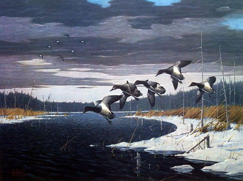 Les Kouba Print-Signed and Numbered:"Cans In Bush Country" - Les Kouba