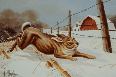 Les Kouba Print-Signed and Numbered:"Cottontail Headin For Cover S/N ...