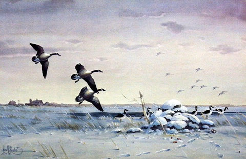 Les Kouba Print-Signed and Numbered:"Empty Blind" - Les Kouba