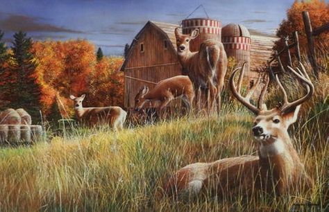 Les Kouba Print-Signed and Numbered:"Foggy Morning Bills" - Les Kouba