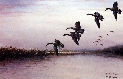 Les Kouba Print-Signed and Numbered:"Foggy Morning Canadas" - Les Kouba