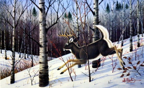 Les Kouba Print-Signed and Numbered:"Frightened Whitetail" - Les Kouba