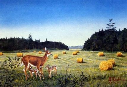 Les Kouba Print-Signed and Numbered:"Goldeneyes A.M." - Les Kouba