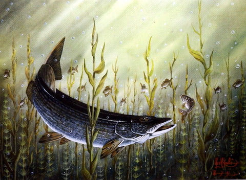 Les Kouba Print-Signed and Numbered:"Northern Feedin' On Perch" - Les Kouba