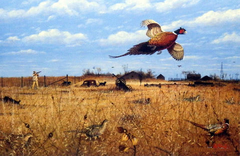 Les Kouba Print-Signed and Numbered:"Pheasant Paradise" - Les Kouba