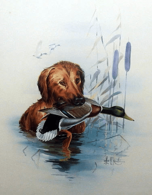 Les Kouba Print-Signed and Numbered:"Reddy All Righty" - Les Kouba