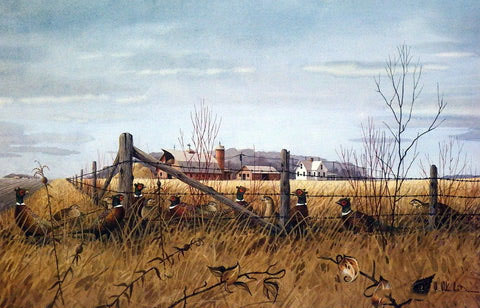 Les Kouba Print-Signed and Numbered:"Roadside Ringnecks" - Les Kouba