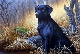 Les Kouba Print-Signed and Numbered:"Waterfowl Hunting Heritage" - Les ...