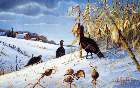 Les Kouba Print-Signed and Numbered:"Wild Turkey Feedin" - Les Kouba