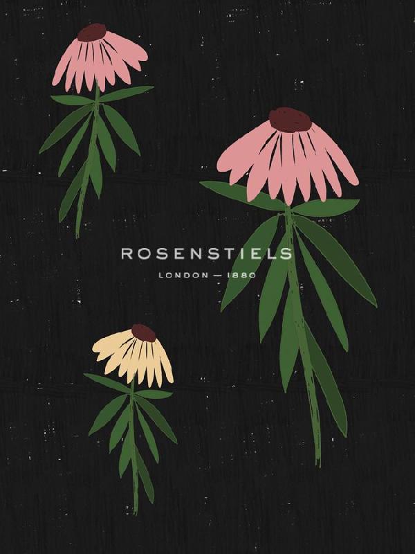 Lisa Stickley 30 x 40 in. Open Giclee Canvas:"Echinacea Blackboard ...