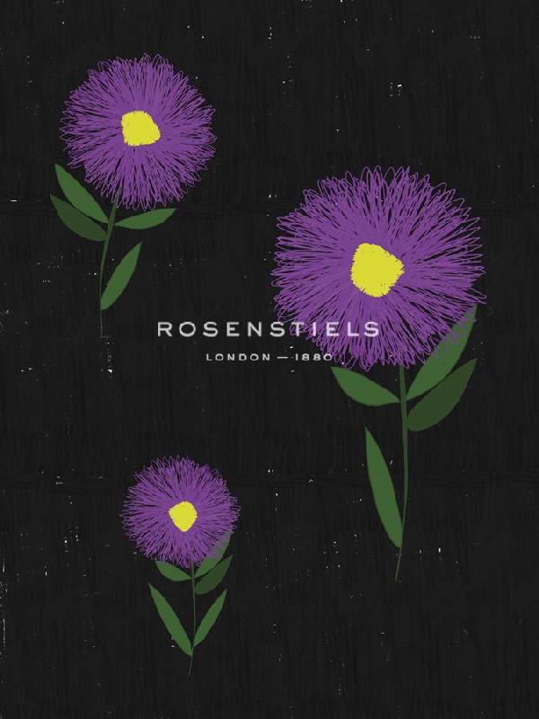 Lisa Stickley 30 x 40 in. Open Giclee Canvas:"Ice Plant Blackboard ...