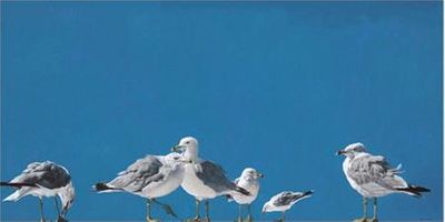 Mark Eberhard Handsigned & Numbered Limited Edition Giclee on Canvas ...
