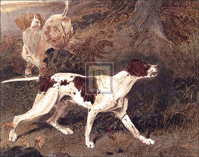 Martin Theodore Ward Artist Hand Colored Copper Plate Printed Atelier ...