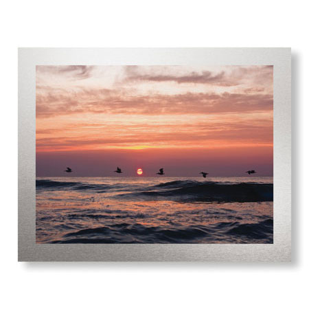 Matt Lusk Limited Edition Ready to Hang Giclee on Brushed Aluminum ...