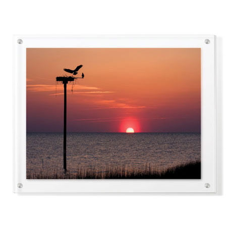 Matt Lusk Limited Edition Ready to Hang Giclee on Clear Acrylic ...