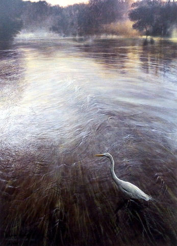 Matthew Hillier Print-Signed and Numbered:"River Of Grass" - Matthew ...