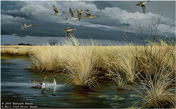 MAYNARD REECE 21X29 Secondary Market Art: "DARK SKY PINTAILS" - REECE ...