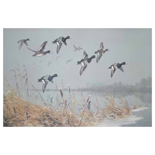 MAYNARD REECE Secondary Market Art: "OVER THE POINT SCAUP" - REECE, MAYNARD