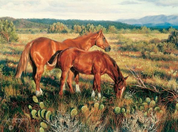 Tim Cox Artist Signed Canvas Edition:"Sorrels in the Sun " - Tim Cox