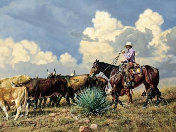 Tim Cox Artist Signed & Numbered Limited Edition:"Western Skies" - Tim Cox