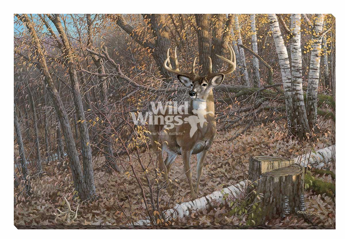Michael Sieve 24x36 Gallery Wrap Canvas Giclee:"Great Eight - Whitetail ...