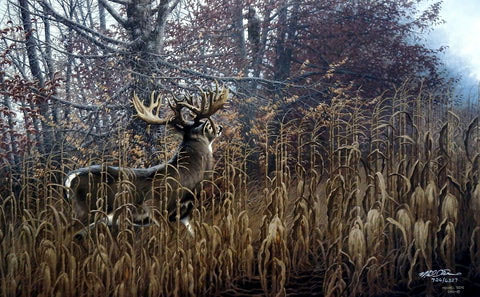 Michael Sieve Print-Signed and Numbered:"Mike Beatty & The Beatty Buck ...