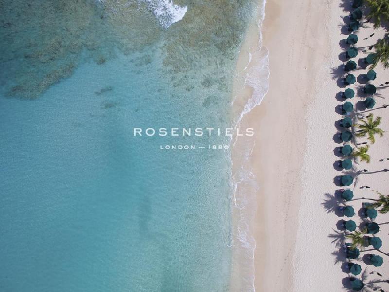 Mike Toy 40 x 30 in. Open Giclee Canvas:"Quiet Footsteps" - Mike Toy