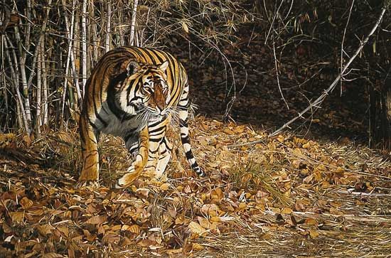 Simon Combes Limited Edition Lithograph Print on Paper:"Indian Summer ...