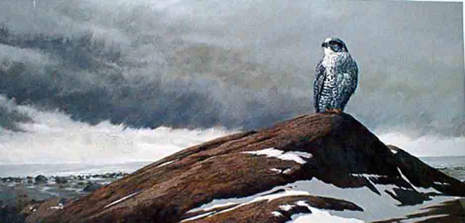 Morten E. Solberg Hand Signed and Numbered Limited Edition Print :" On ...