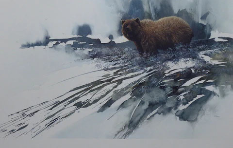 Morten E. Solberg Print-Signed and Numbered:"Morning Frost Bear Print ...