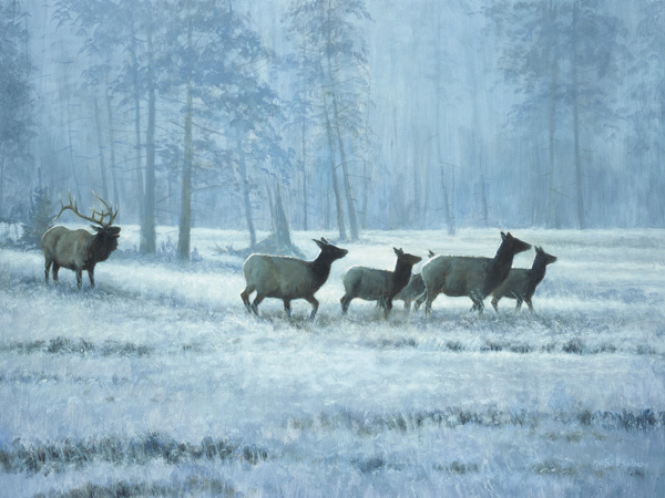 Morten E. Solberg Signed and Numbered Limited Edition Canvas Giclee ...