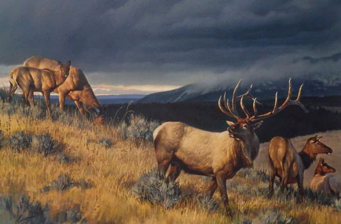 Nancy Glazier Print-Signed and Numbered:"Farewell to Fall II" - Nancy ...