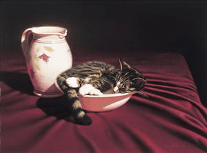 Nancy Howe Open Edition Canvas "Very Still Life" - Nancy Howe