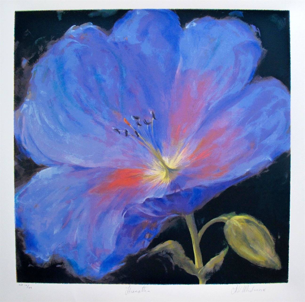 Nel Whatmore Hand Signed Limited Edition Giclee:"Hiawatha" - Nel Whatmore