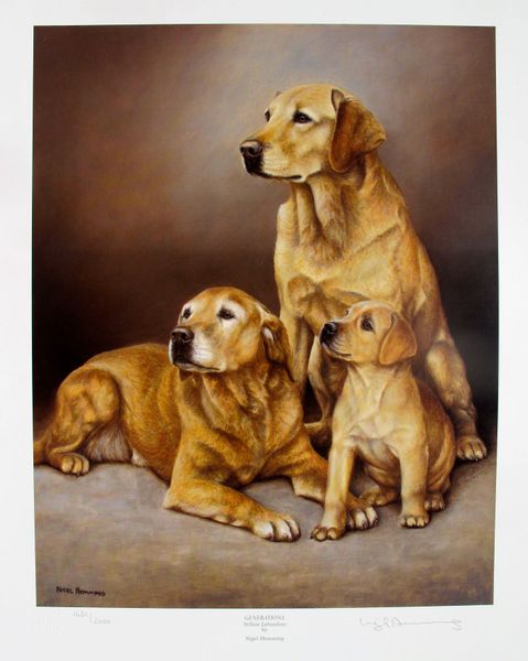 Nigel Hemming Hand Signed Limited Edition Lithograph:"Generations ...