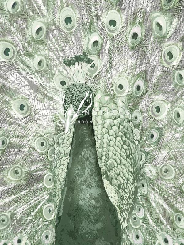 Paul Duncan 30 x 40 in. Open Giclee Canvas:"Peacock Poise" - Paul Duncan