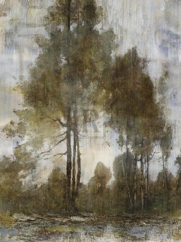 Paul Duncan 30 x 40 in. Open Giclee Canvas:"Tree Dreamscape II" - Paul ...