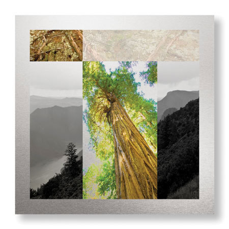 Peter Kitchell Limited Edition Ready to Hang Giclee on Brushed Aluminum ...