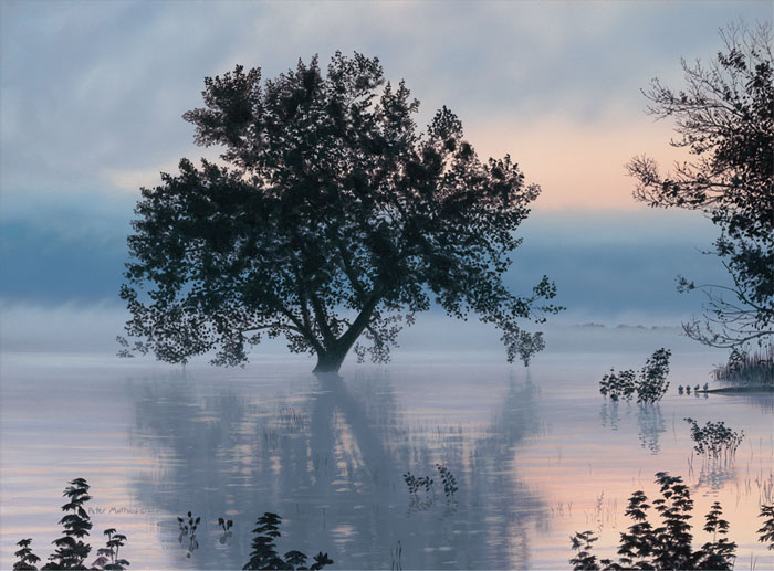 Peter Mathios Open Edition Framed Print: "Sunrise Reflections ...