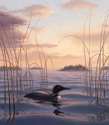 Phil Scholer Limited Edition Print: "Sundown Sentry-Loon" - Phil Scholer