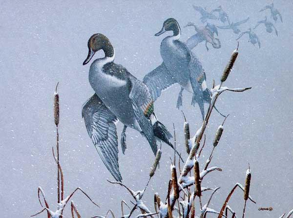 Phillip Crowe Limited Edition Paper Print : " Snowy Refuge " - Phillip ...