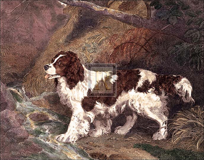Ramsay Reinagle Artist Hand Colored Copper Plate Printed Atelier Print ...