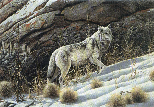 Ray Shaw Handsigned and Numbered Limited Edition Print: "Looking for ...